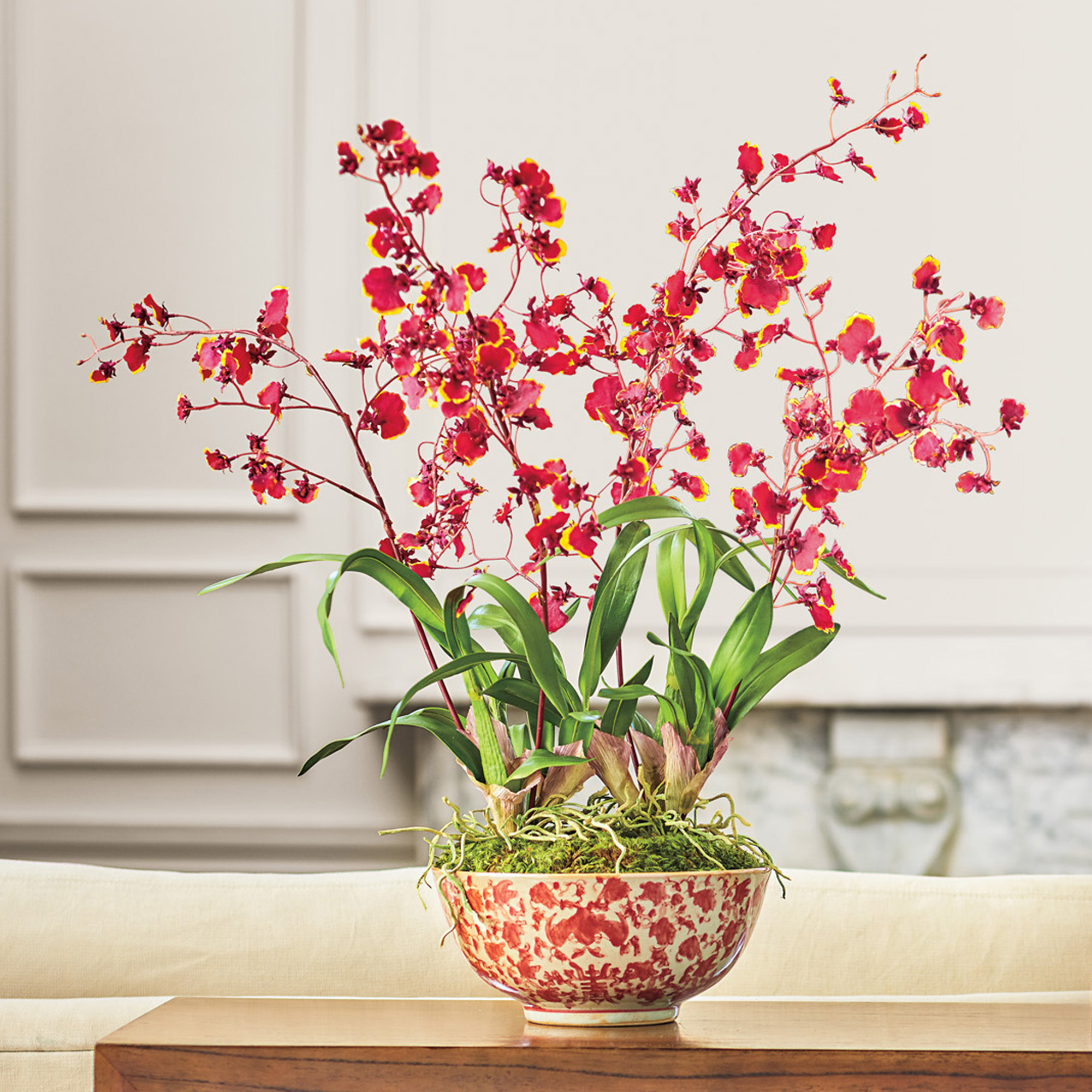 Dancing Oncidium Orchid Arrangement | Gump's